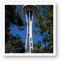 Seattle Space Needle under roller coaster Photograph - Landscape ...