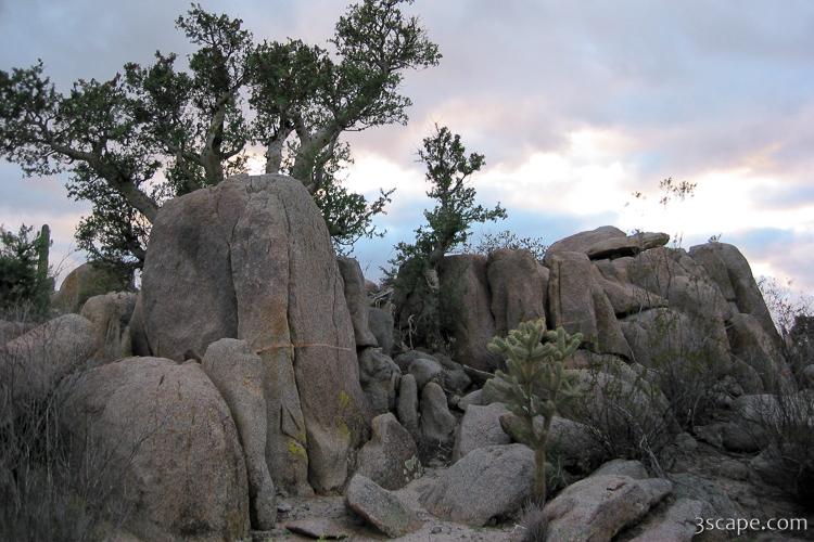 Boulder field Fine Art Print by Adam Romanowicz