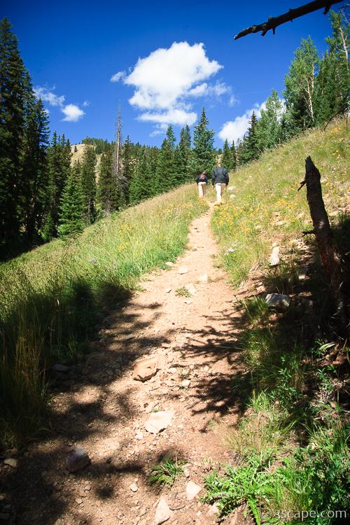 Burro Pass Trail Photograph by Adam Romanowicz