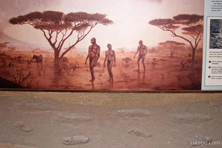 First known humans to walk the earth Fine Art Print by Adam Romanowicz