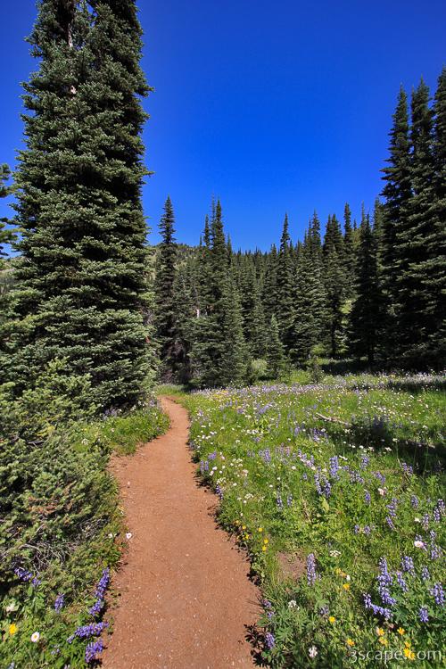 Sunrise Rim Trail Photograph by Adam Romanowicz