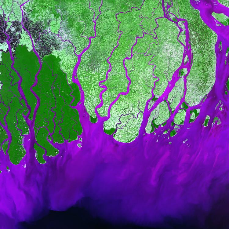 Ganges River Delta Photograph by Adam Romanowicz