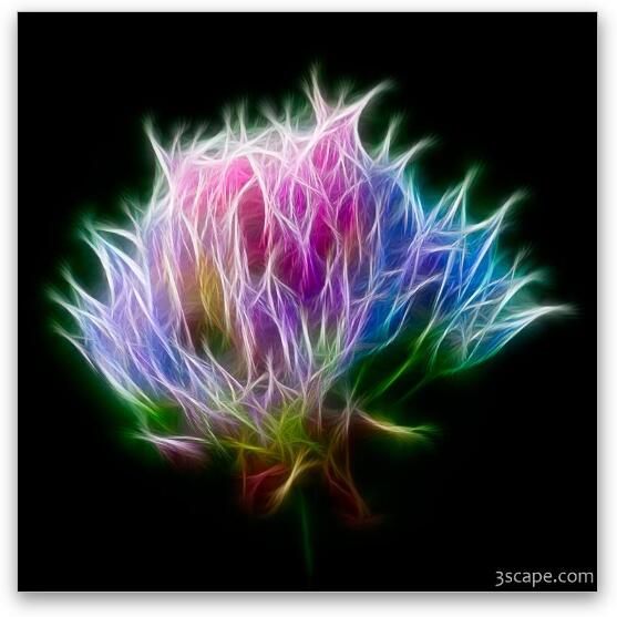 Color Burst Fine Art Print by Adam Romanowicz