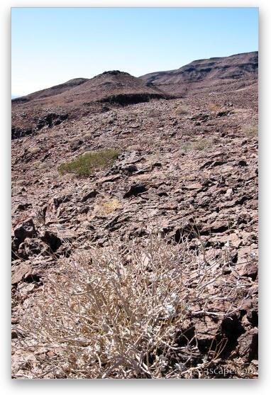 Harsh desert environment Fine Art Print by Adam Romanowicz