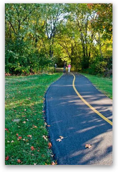 Busse Woods - Schaumburg, IL Fine Art Print by Adam Romanowicz