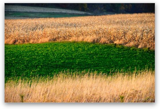 Galena's colorful fields Fine Art Print by Adam Romanowicz