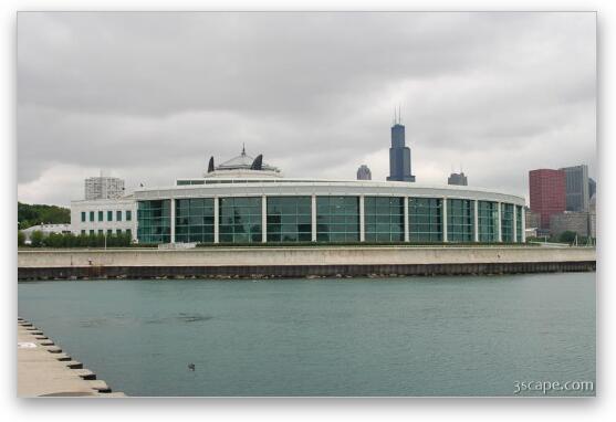 Shedd Aquarium (Oceanarium section) Fine Art Print by Adam Romanowicz
