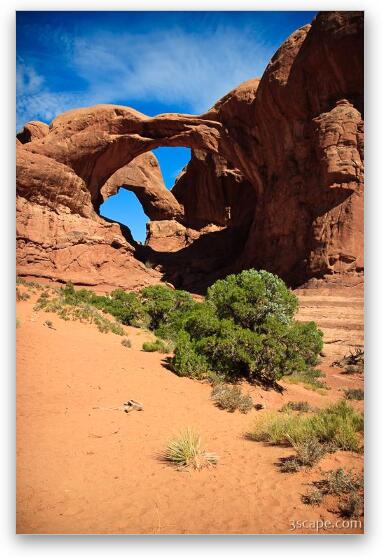 Double Arch Fine Art Print by Adam Romanowicz