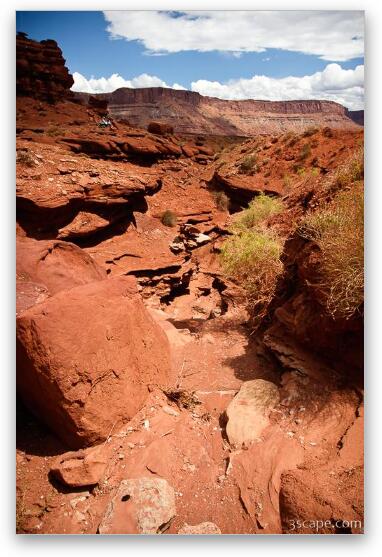 Small Canyon Fine Art Print by Adam Romanowicz