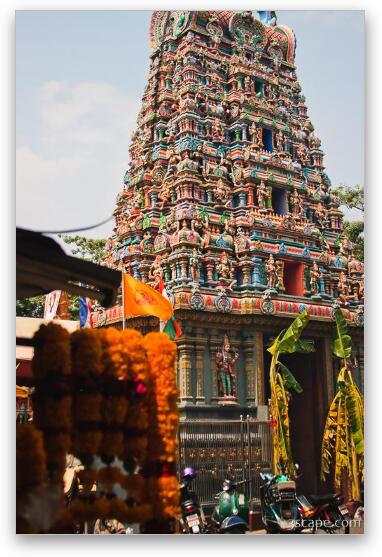 Maha Uma Devi Temple Fine Art Print by Adam Romanowicz