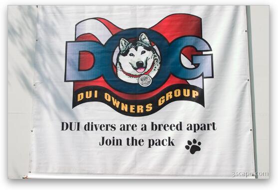 DUI Owners Group logo Fine Art Print by Adam Romanowicz