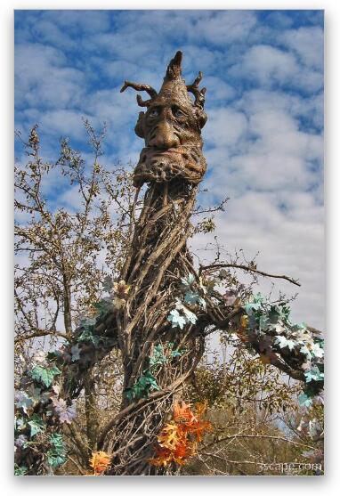Tree guy Fine Art Print by Adam Romanowicz