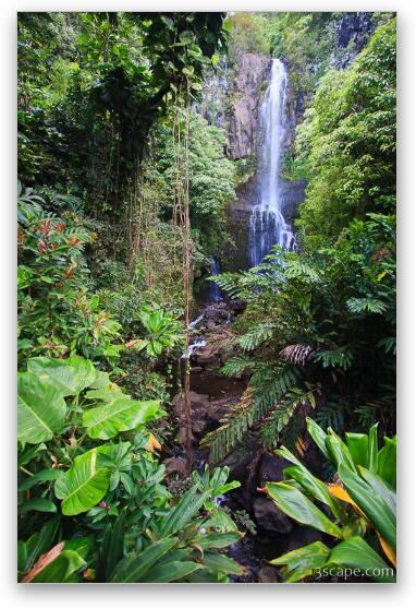 100 Foot Wailua Waterfall Fine Art Print by Adam Romanowicz