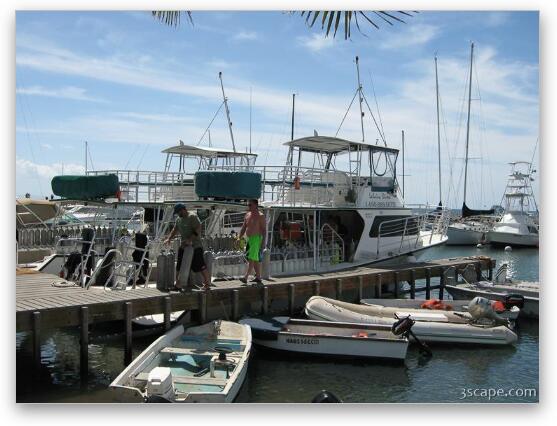 Lahaina Divers boats Fine Art Print by Adam Romanowicz
