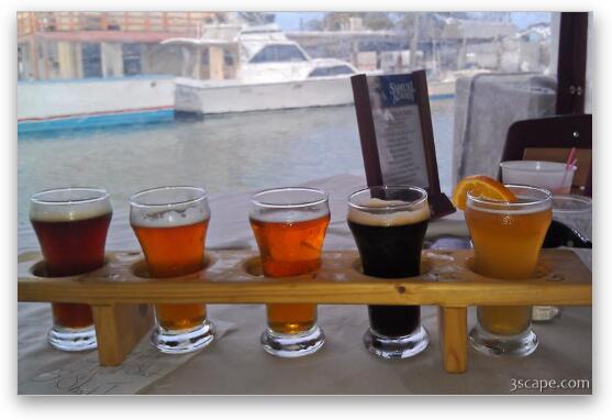 Beer flight Fine Art Print by Adam Romanowicz