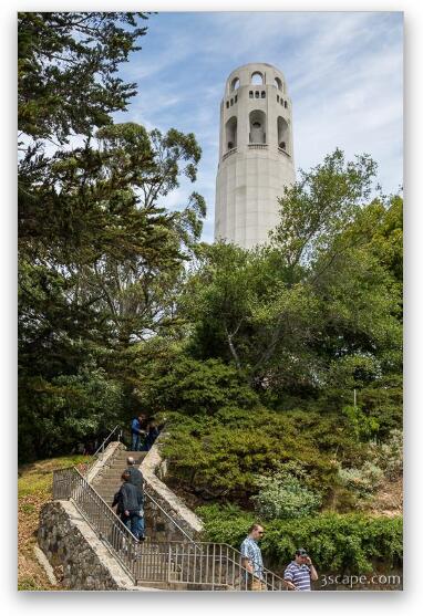 Coit Tower on Telegraph Hill Fine Art Print by Adam Romanowicz