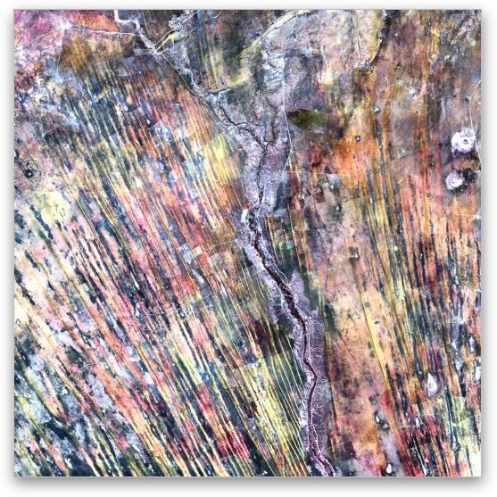 Kalahari Desert, Namibia Fine Art Print by Adam Romanowicz