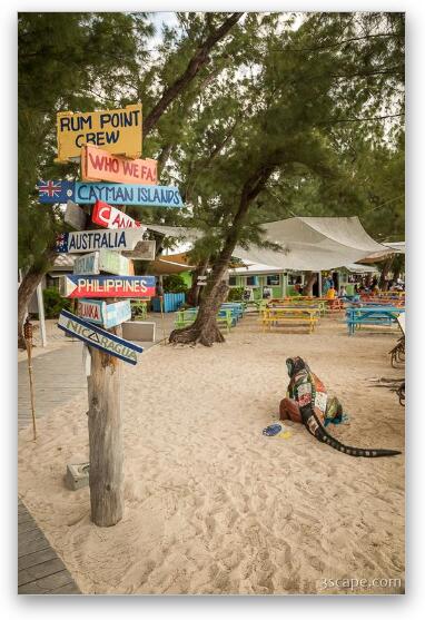 Rum Point sign post Fine Art Print by Adam Romanowicz